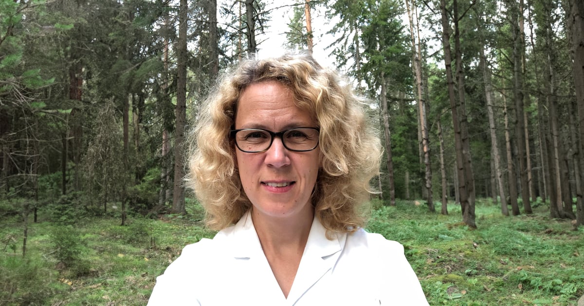 Tullar eller inte tullar – hur påverkar det svenska lantbrukare ...